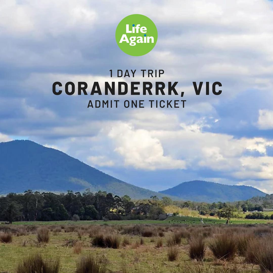 1 DAY CORANDERRK - Life Again